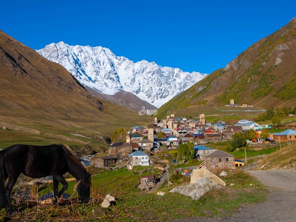 格鲁吉亚生活成本一览，亲身经历分享Georgia的真实物价 - 相因宝贝