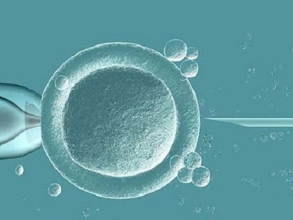 3cb胚胎属于什么级别60s告诉你，好奇是男是女快快收藏 - 相因网