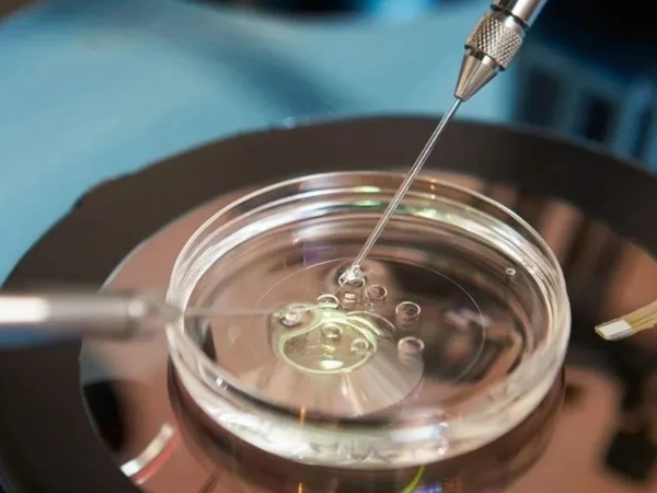 美国试管婴儿医生推荐2024，五位杰出大夫任君选择 - 相因网