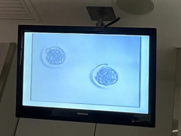 别问有无移植3cb囊胚成功生娃的了，看完这些案例就清楚 - 相因网