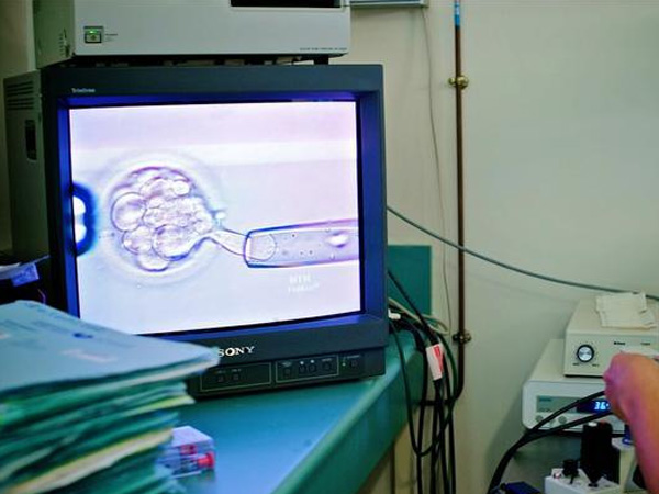 3bb囊胚和4bb囊胚有何差别、哪个更适合移植解谜，看医生咋说 - 相因网